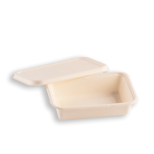 BAGASSE RECTANGULAR CONTAINER 260 ML (WHITE) | Altindo Mulia