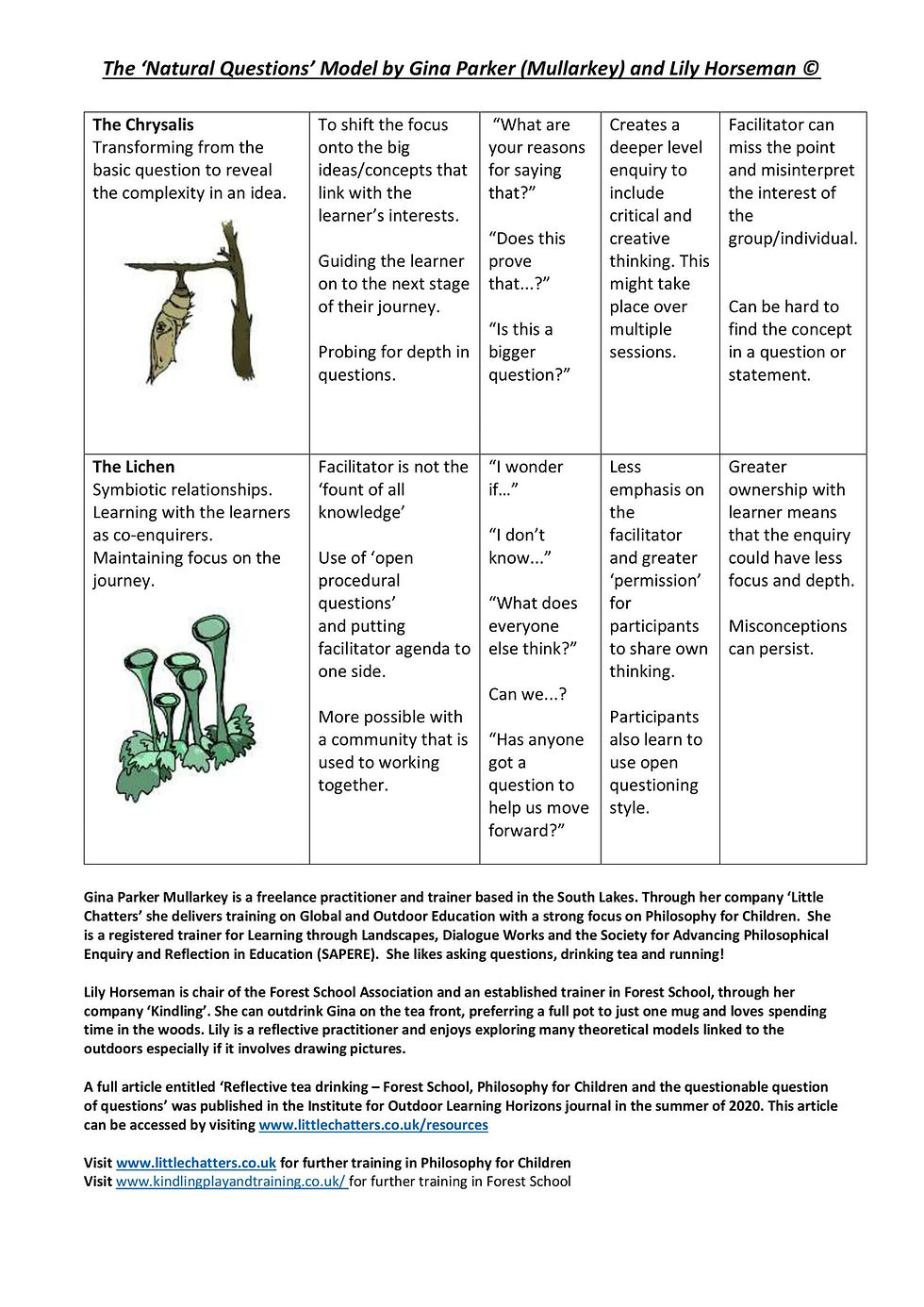 The questionable nature of questions