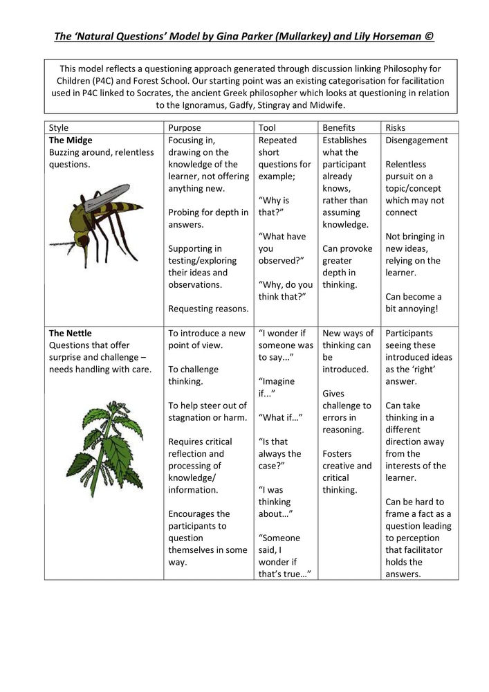 The questionable nature of questions