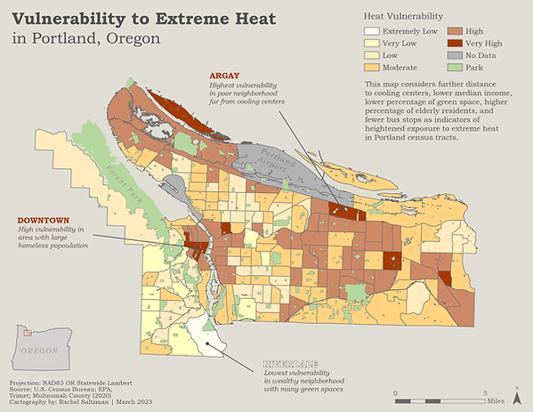 Portfolio | Rachel Saltzman