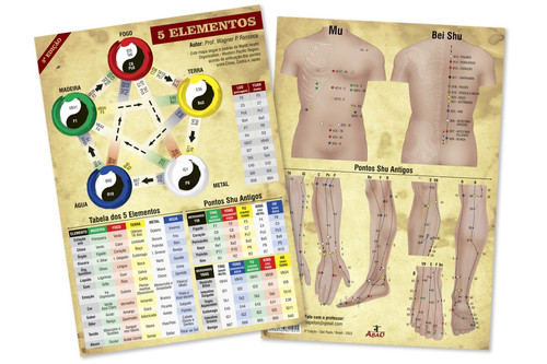 Mapa dos Cinco Elementos 2° Ed.. Prof.Wagner P.Fonseca | Editorazen