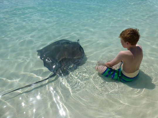 Best Beaches in Exuma | Discover Exuma