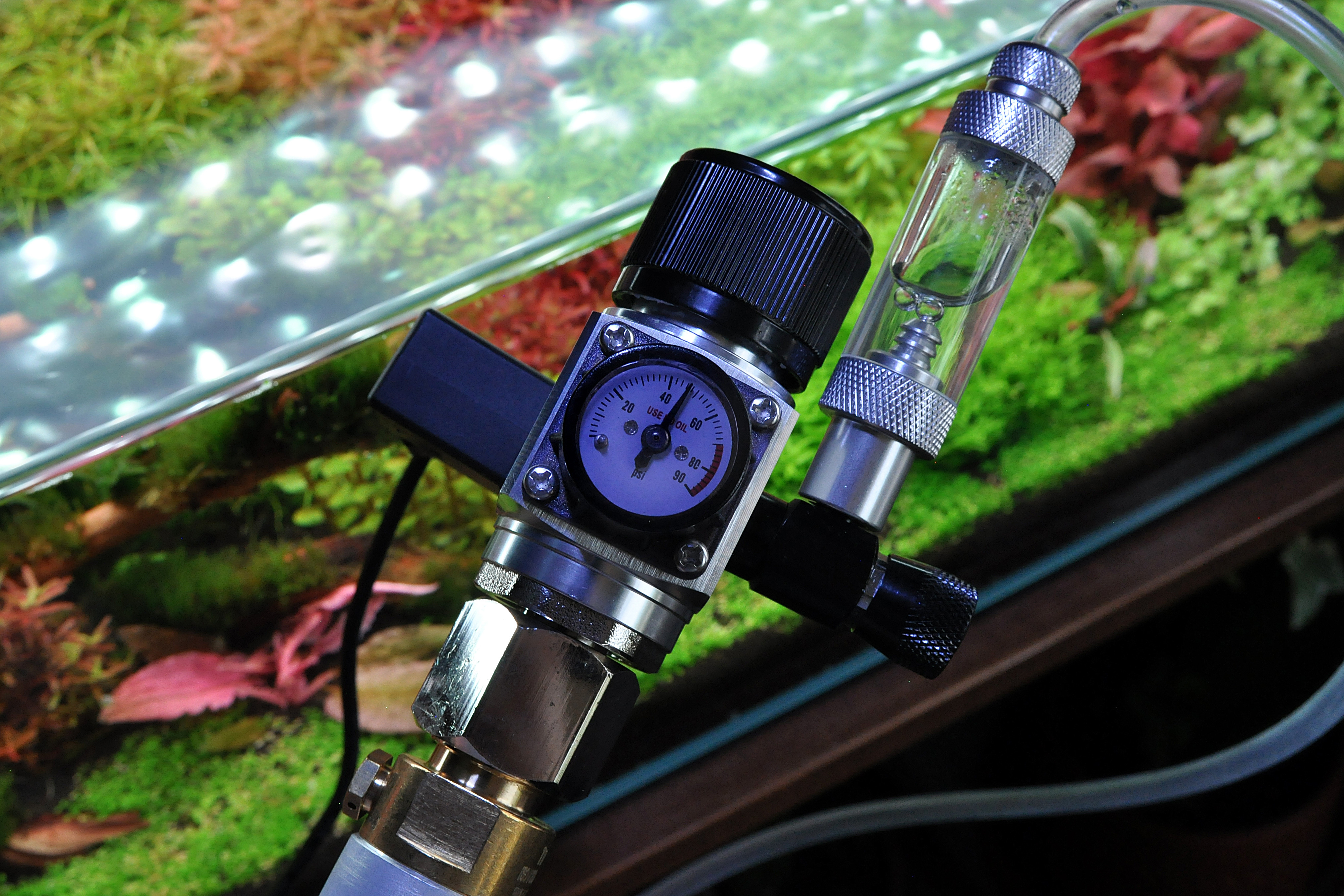 The Interdependence of CO2 and LightMaximizing Photosynthesis by ...