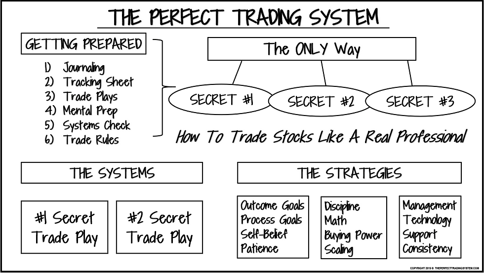 Perfect Trading System Hard Copy | MOJO DAYTRADING