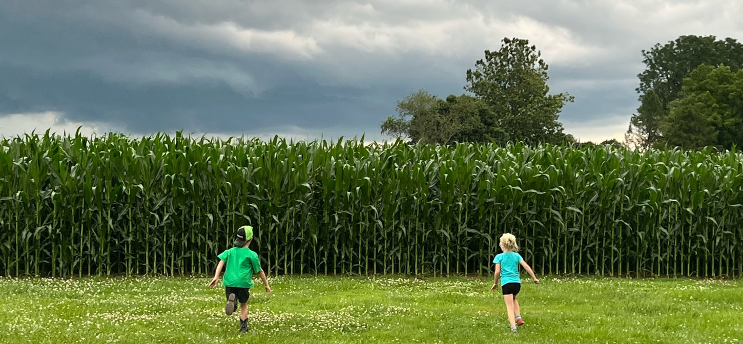 Home | The Helen Edith Farm