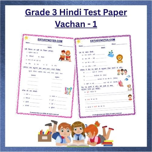 Grade 3 Hindi - Vachan Test Paper 1 | Estudynotes