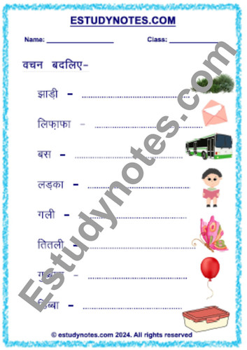 Hindi Vachan Badlo Worksheet 1 | Estudynotes