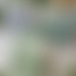 Book Reviews | My Site