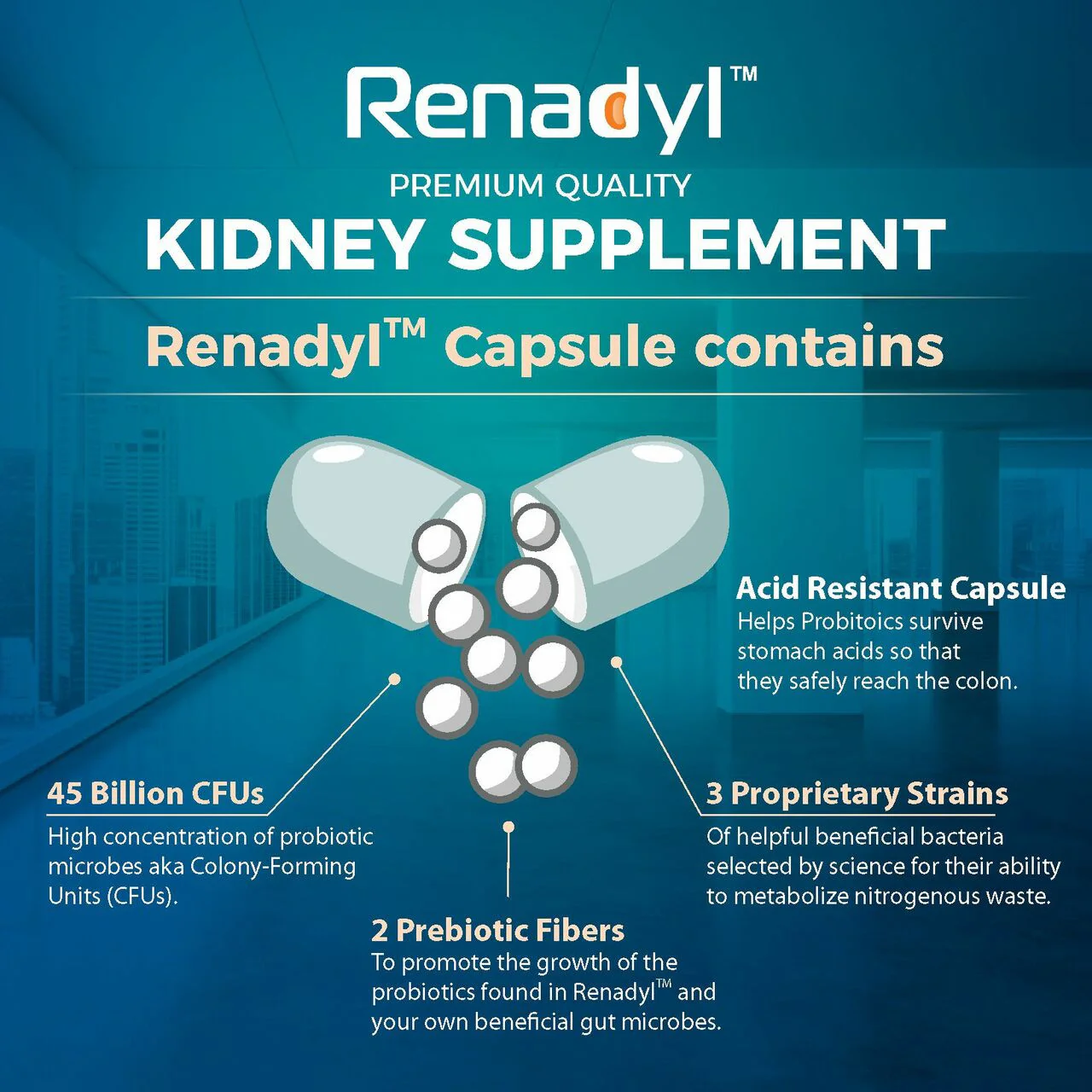 Renadyl Probiotic for Kidney Patients | Dadvice TV