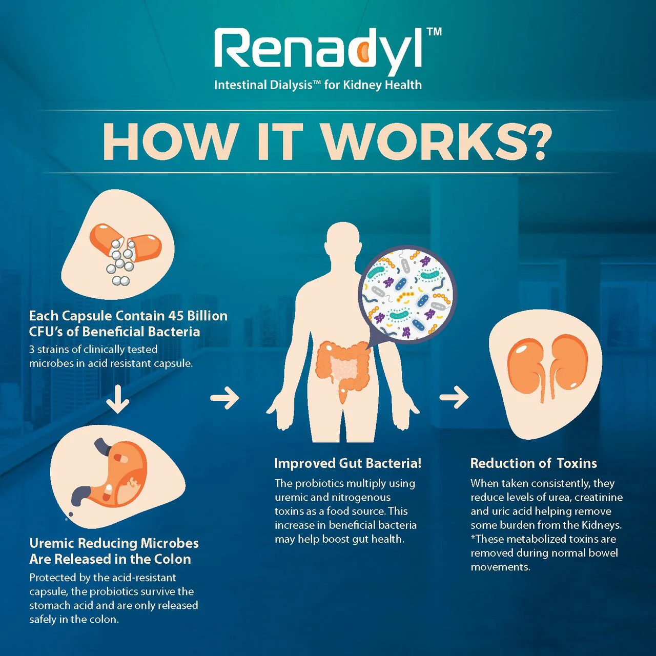 Renadyl Probiotic for Kidney Patients | Dadvice TV