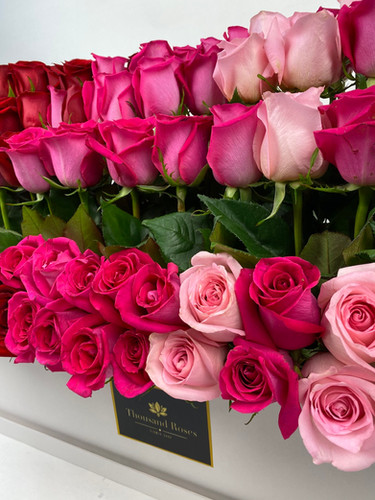 “Standing roses” | thousandroses