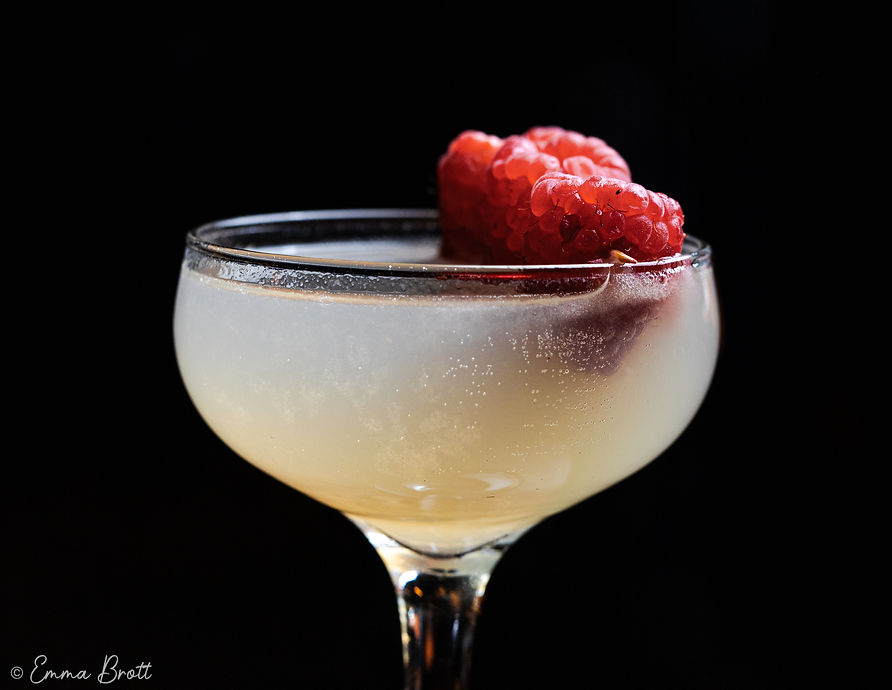 Craft Cocktails | Studio Lounge | Rochester