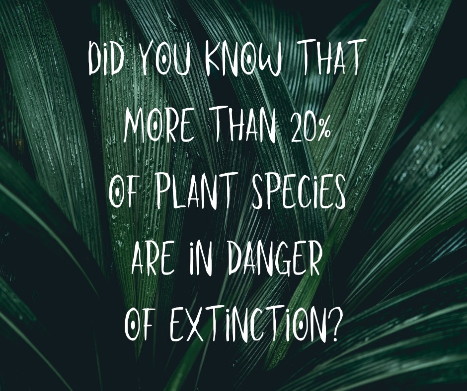 Plants in Danger of Extinction