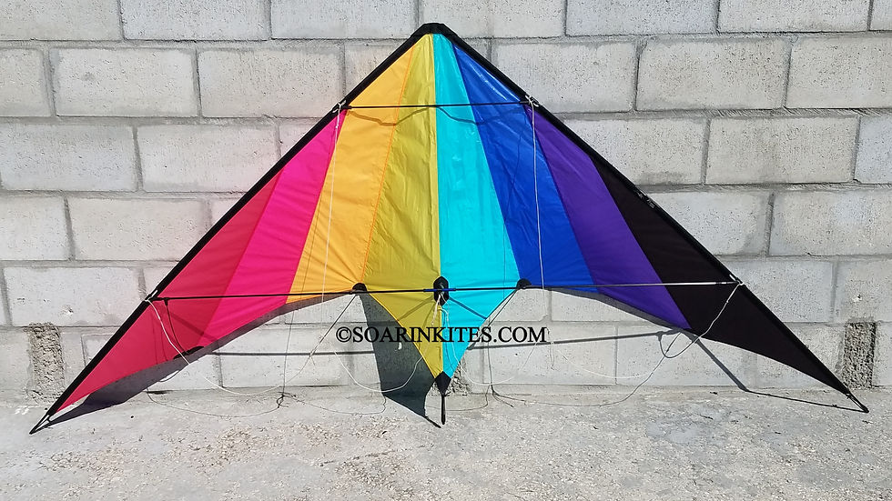 Other Dual-Line Kites | SoarinKites.com