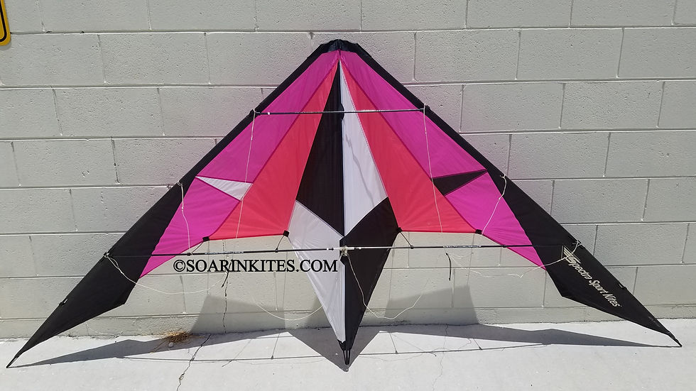 Other Dual-Line Kites | SoarinKites.com