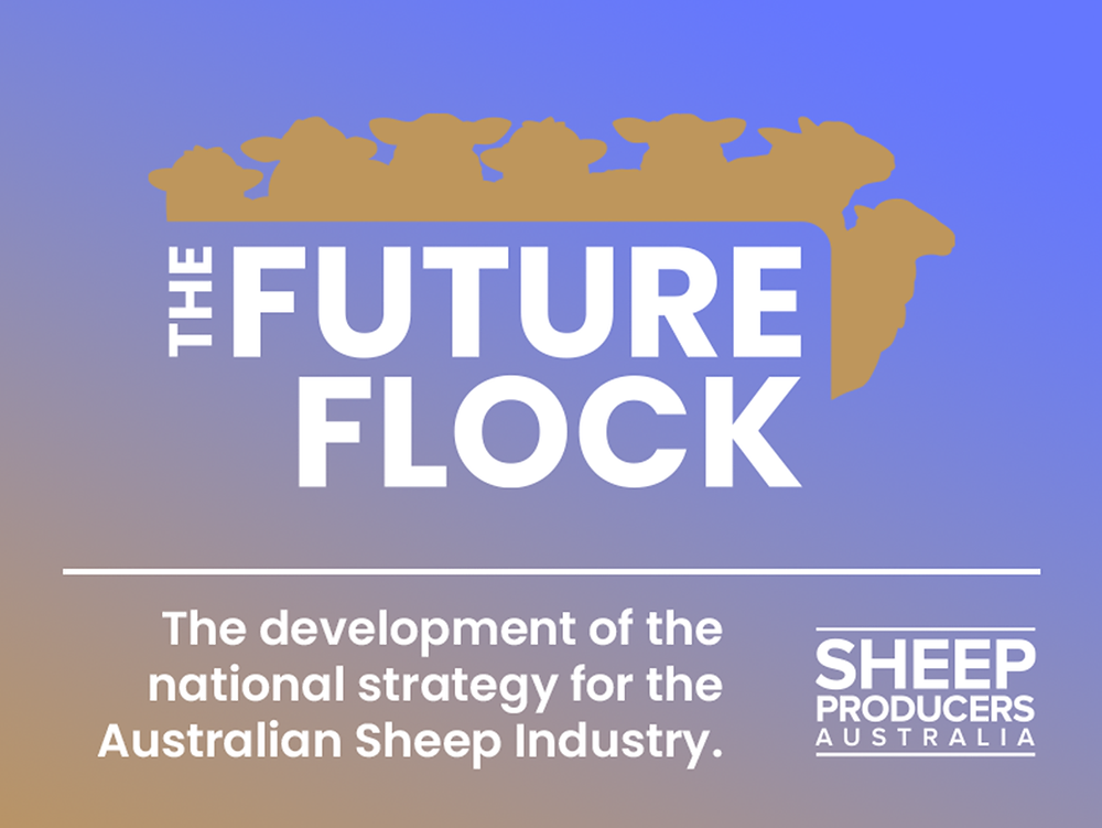 Five questions we’re hearing about The Future Flock