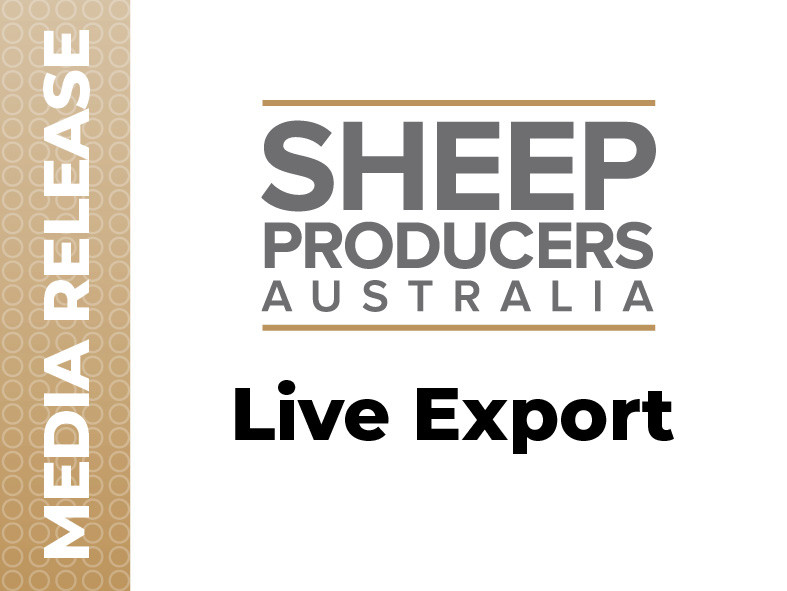Statement - Live sheep ban takes its toll, as support goes AWOL
