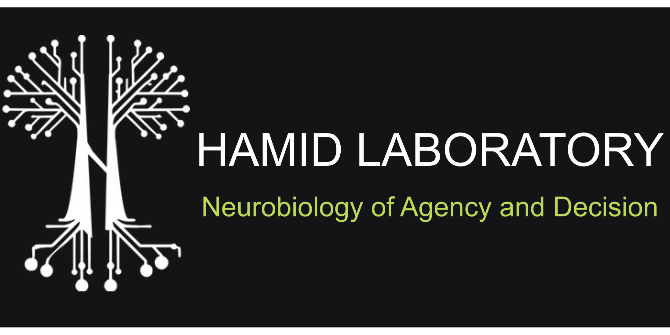 Arif | Hamid Laboratory