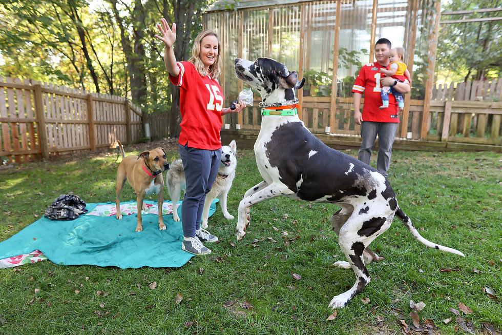 About Us | BOLD Dog Training