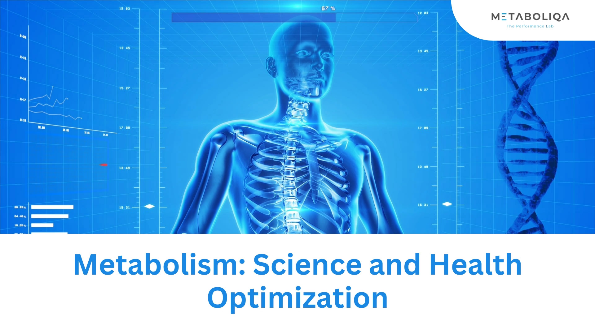 Metabolism: Science and Health Optimization | Metaboliqa | Metabolic ...