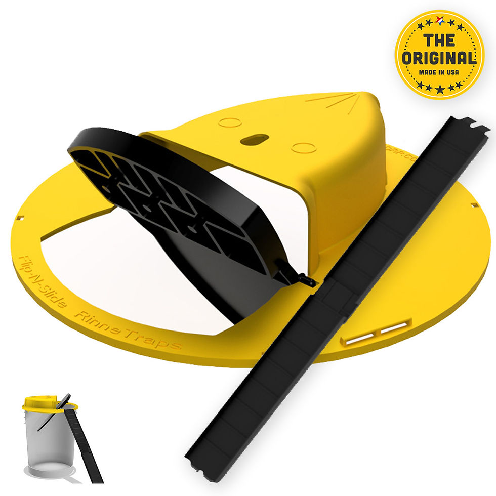 RinneTraps | Flip N Slide Mouse Trap | Made in USA