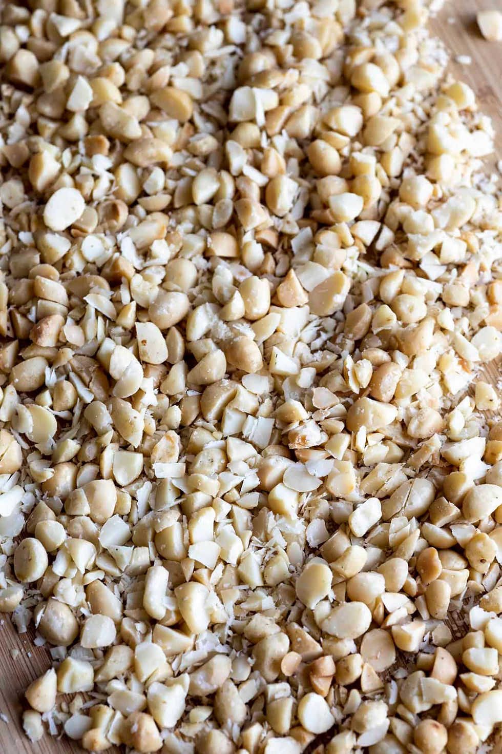 Farm Animals | Lifestyle Animals