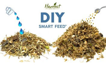 Harvest Grains D.I.Y Smart Feed | Lifestyle Animals