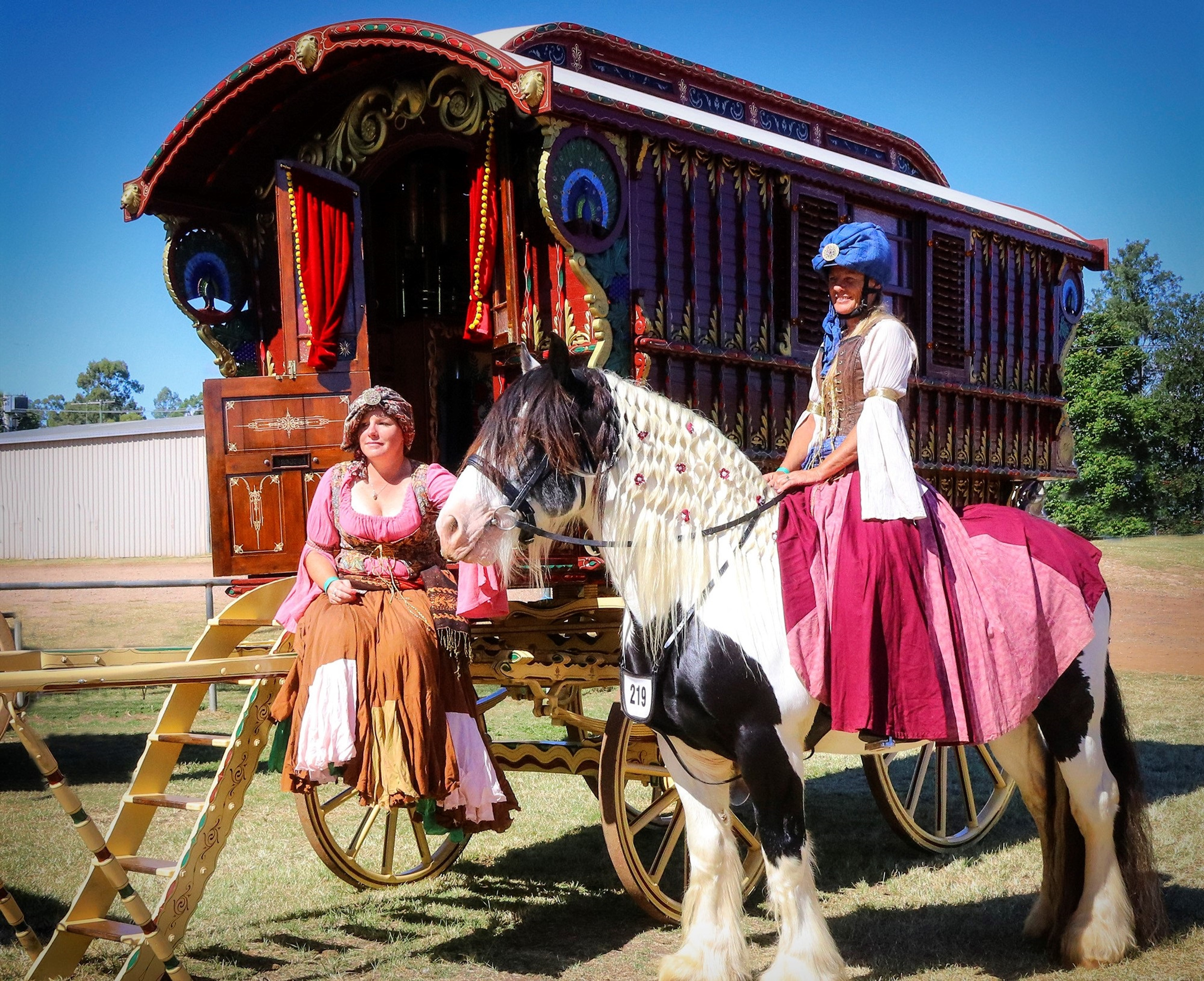 Gypsy Cobs Australia | AGHS