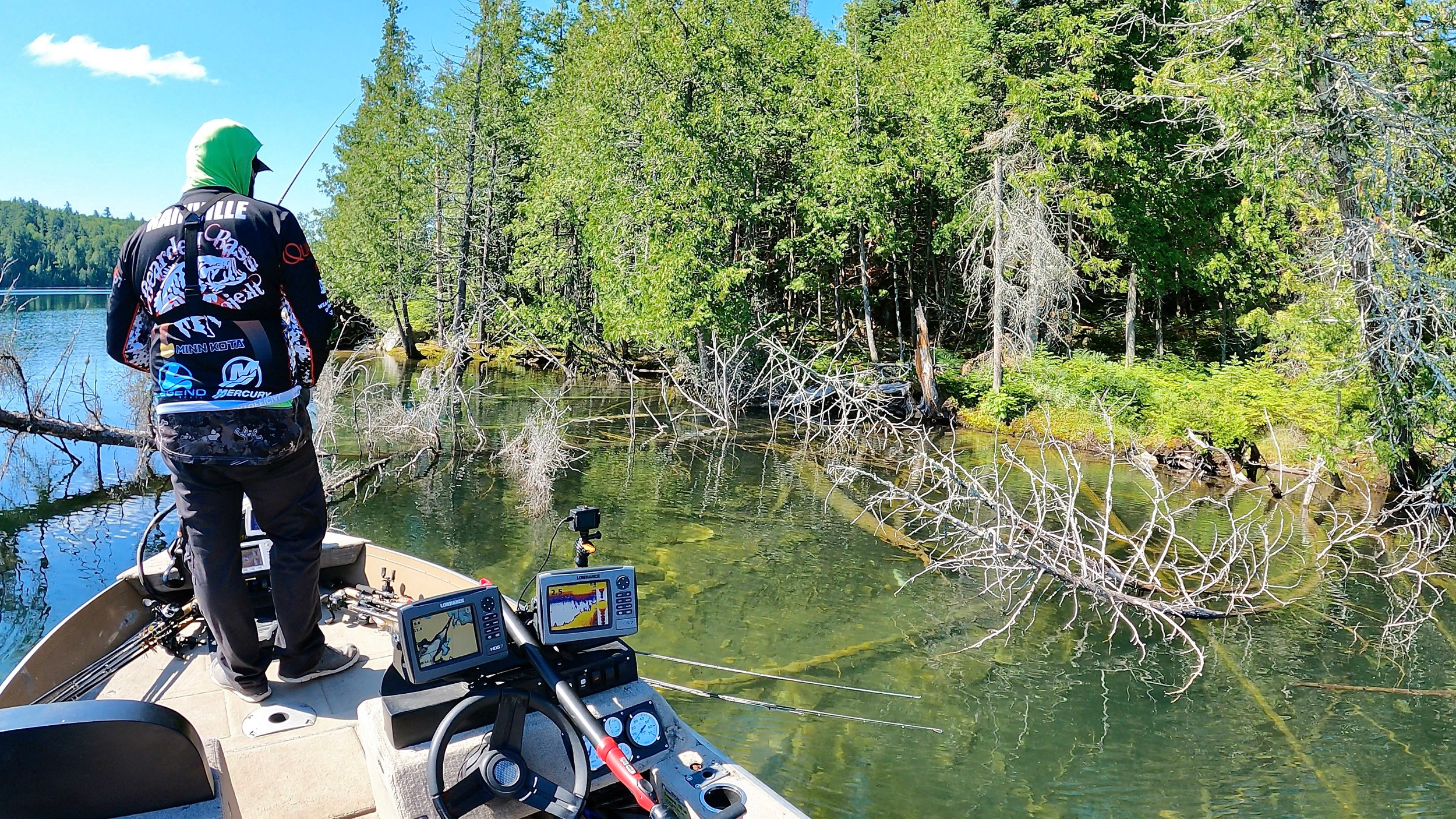 Home | Bearded Bass Projekt