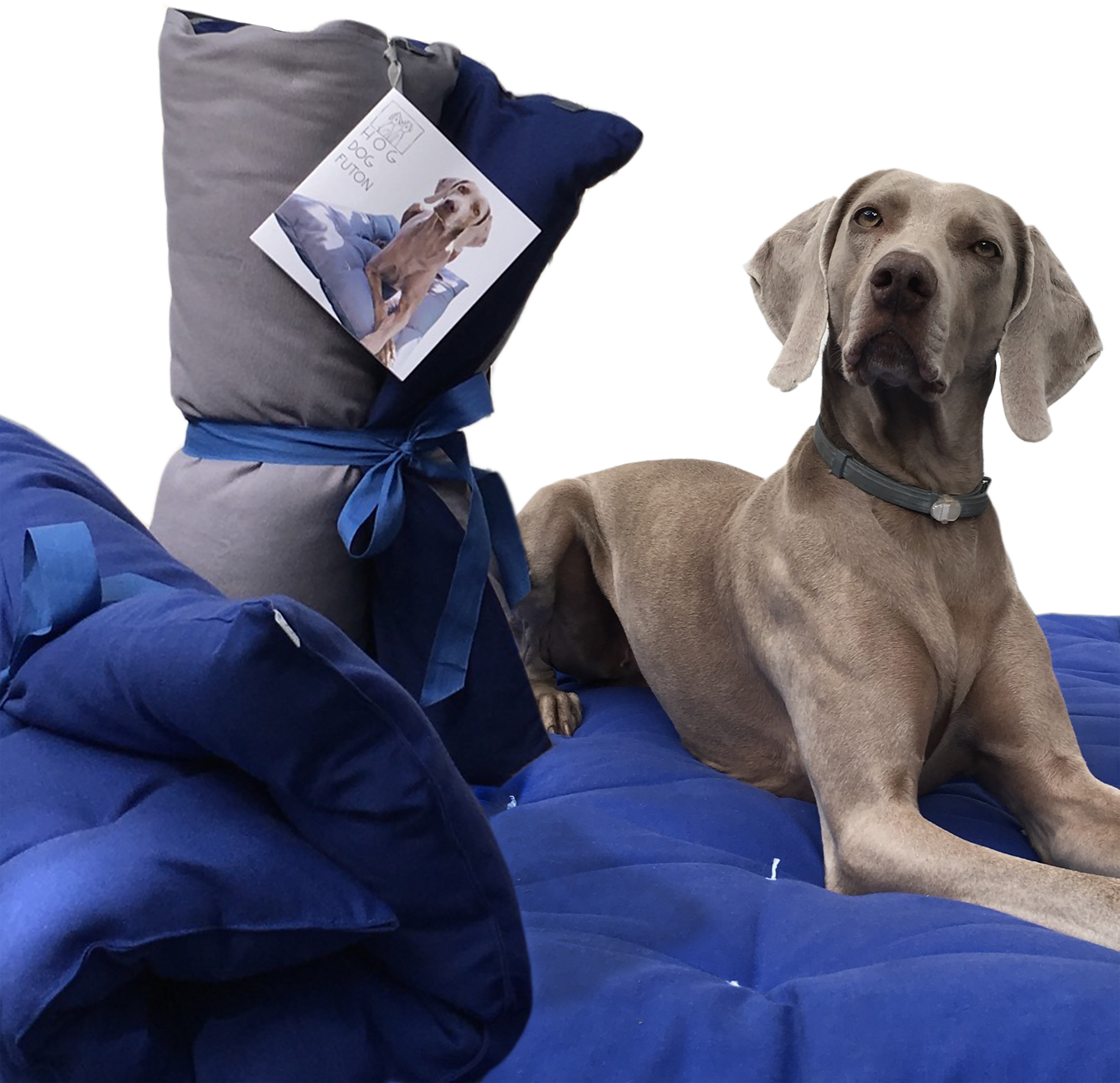 Futon Per Cani | Lombardia | HOG - dog futon futon per cani, poo bag