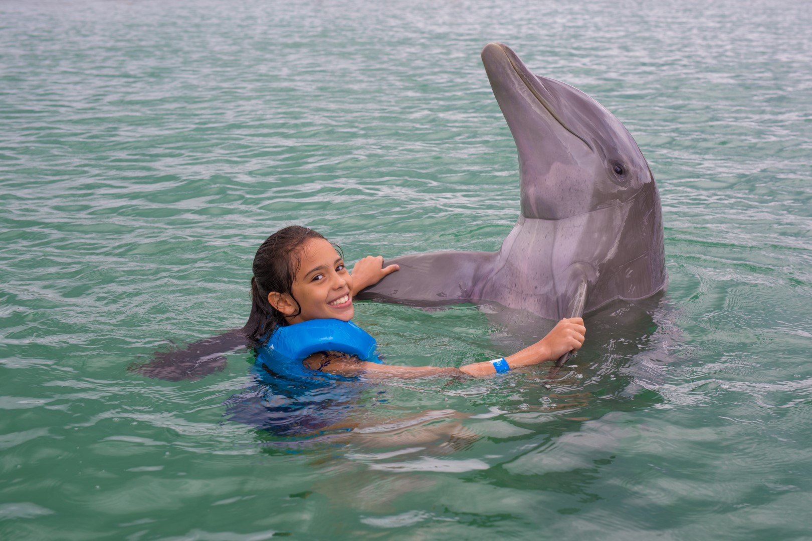 dolphins ride | localtours