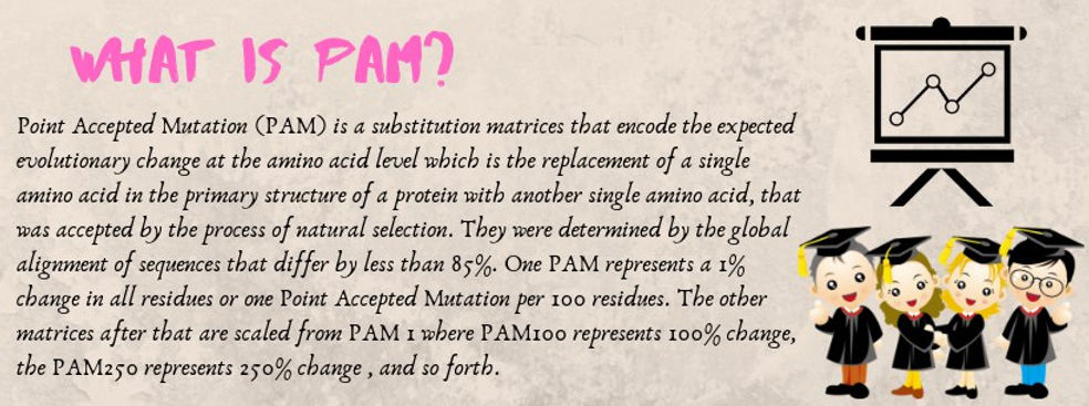 The PAM Matrix | Bsm4301