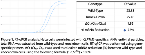 WB-Validated CLPTM1 Knockdown Cell Lysate Kit#L61337 | GenuIN Biotech