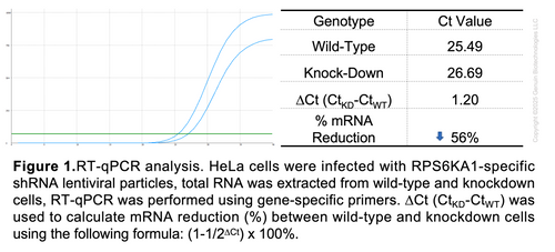 WB-Validated RPS6KA1 Lentiviral shRNA Knockdown Kit #V61167 | GenuIN ...