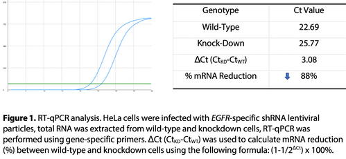 WB-Validated EGFR Lentiviral shRNA Knockdown Kit #V62326 | GenuIN Biotech