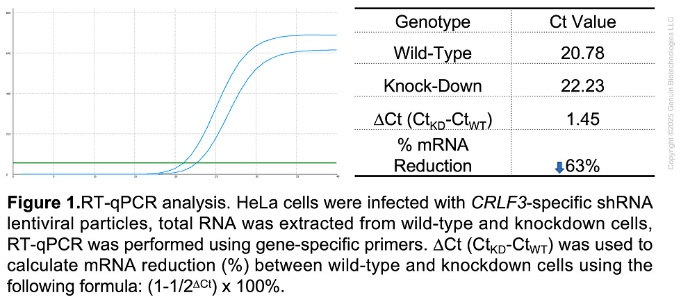 WB-Validated CRLF3 Lentiviral shRNA Knockdown Kit #V63834 | GenuIN Biotech