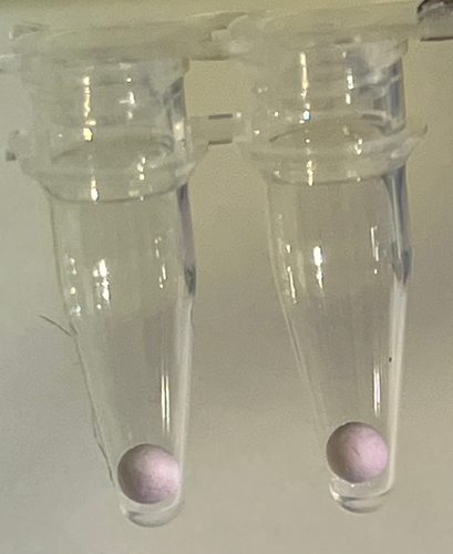 DryMicro MPXV LAMP Kit | GenuIN Biotech