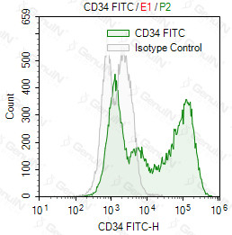 Anti-CD34 Mouse Monoclonal Antibody, FITC Conjugated #F0240-FITC ...