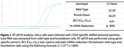 WB-Validated CD44 Knockdown Cell Lysate Kit#L61350 | GenuIN Biotech