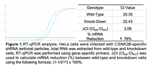 WB-Validated CSNK2B Lentiviral shRNA Knockdown Kit #V61434 | GenuIN Biotech