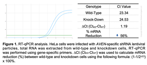 Human AVEN Knockdown Cell Line (WB-Validated) #C61818 | GenuIN Biotech