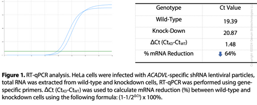 Human ACADVL Knockdown Cell Line (WB-Validated) #C61444 | GenuIN Biotech