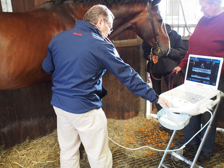 Home | Vet Cardiologist