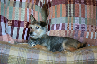 GALLERY | Freya Walker