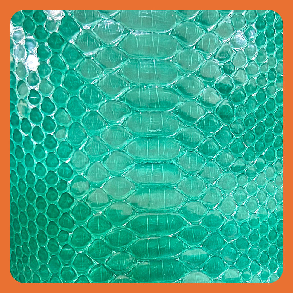 Jade Python Belly | afdesigns