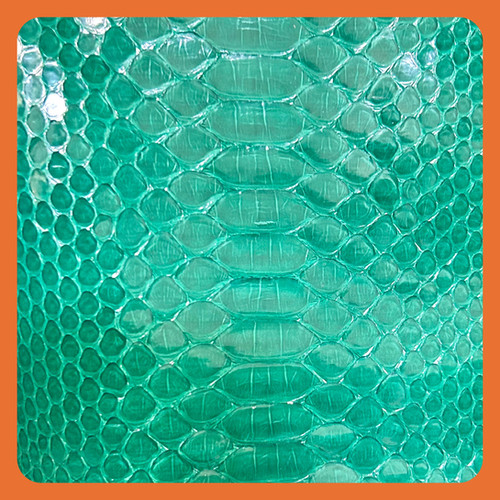 Jade Python Belly | afdesigns