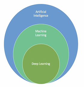 YPIE Science Research | YPIE