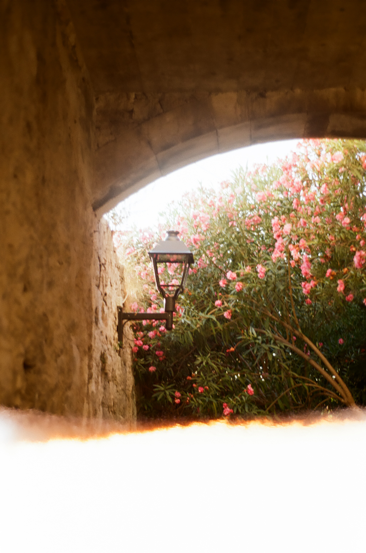 Best Travel Photos 2023
