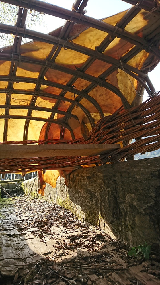 Crannog Coracles