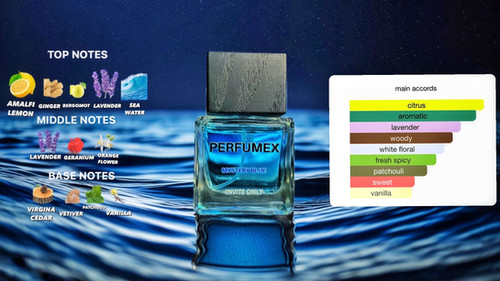 MYSTERY BLUE (LIMITED EDITION) | The Perfume X